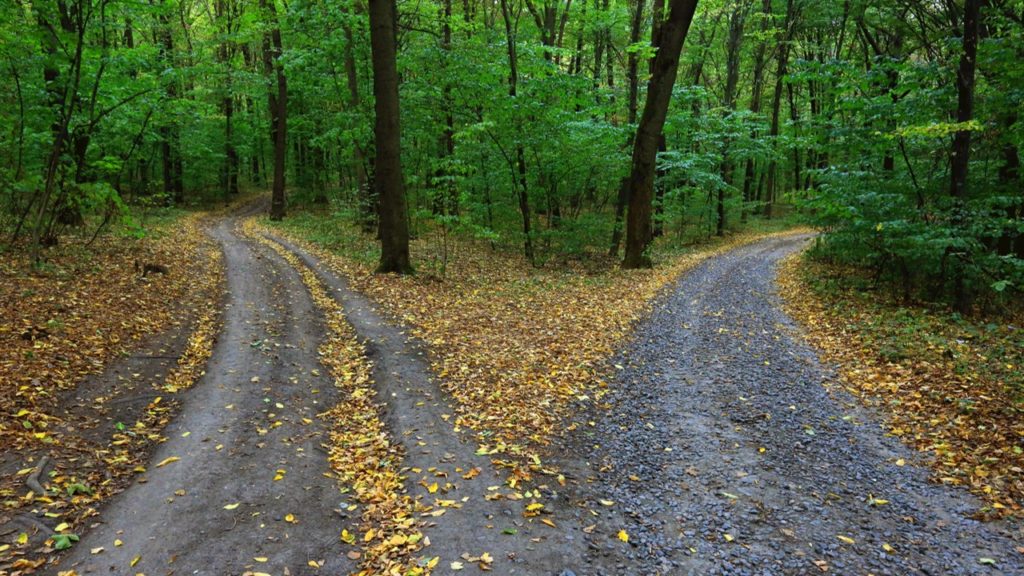 Separate Paths Pleasantville Church Of Christ